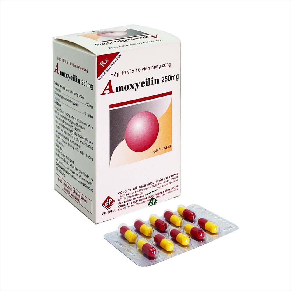 Thuốc kháng sinh Amoxycilin 250mg Vidipha hộp 100 viên
