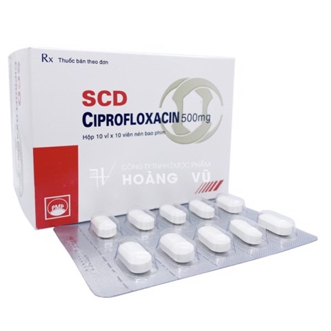 Thuốc kháng sinh SCD Ciprofloxacin 500mg hộp 100 viên | Medigo