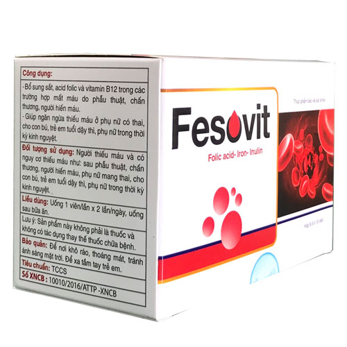 Viên uống bổ sung sắt, acid folic và vitamin B12 Fesovit hộp 60 viên ...
