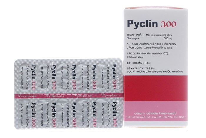 Thuốc kháng sinh Pyclin 300 hộp 10 vỉ x 10 viên | Medigo