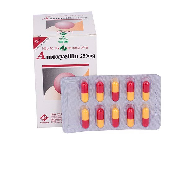 Thuốc kháng sinh Amoxycilin 250mg Vidipha hộp 100 viên